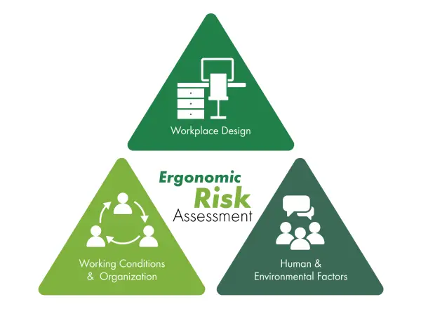 Ergonomic Risk Factors